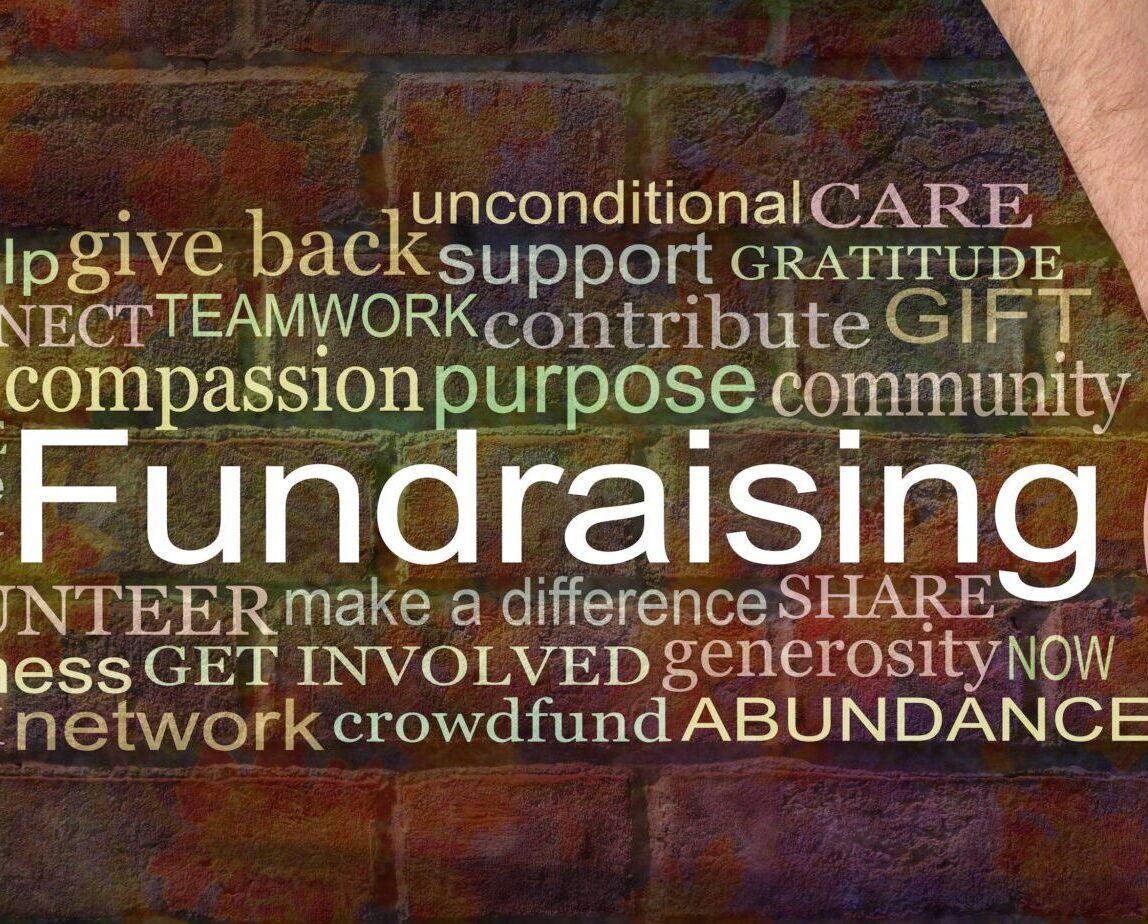 Fundraising 101 | Black Fox Global | Nonprofit Fundraising Consultants